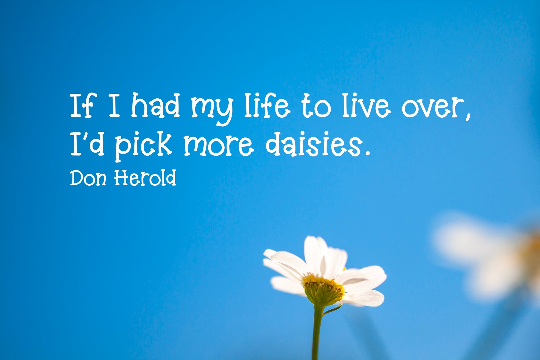 Daisy Chain Handwritten Font – The Creative Bix