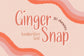Ginger Snap Handwritten Font – The Creative Bix